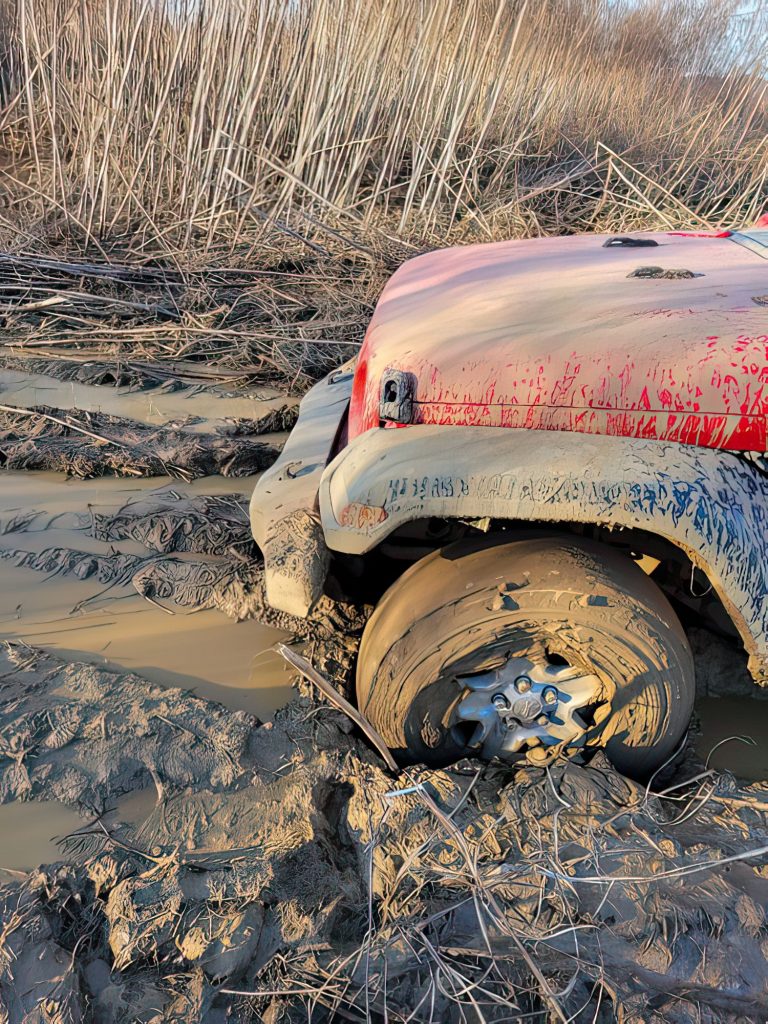 Gladiator stuck in the mud to the frame - Offroad Portal